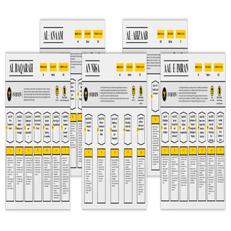 Complete Quran Blueprint E-BOOK ( Surah By Surah ) + Bonuses – Hikmah Store